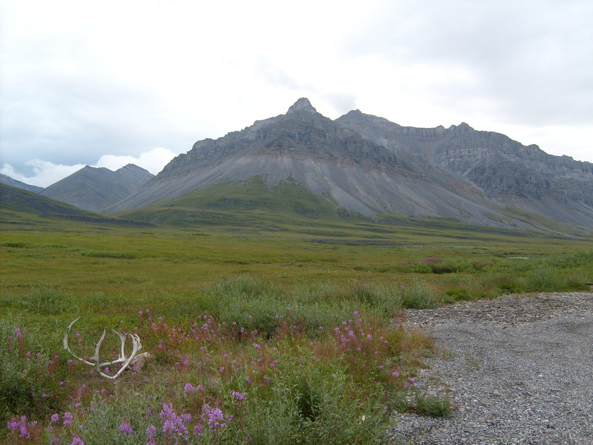 Exploring the Brooks Range Mountains: Arctic Adventure Awaits