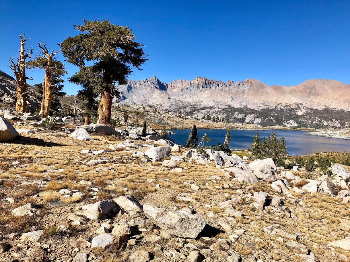 Mount Kaweah: Explore Top Sequoia National Park Attractions