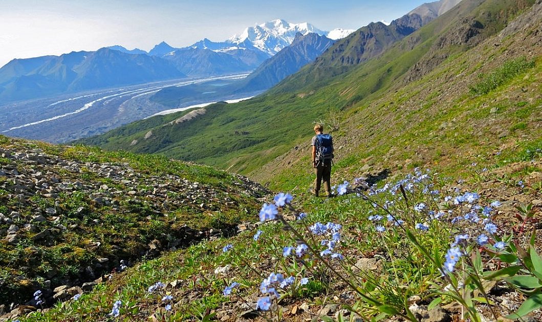 Mount Wrangell: Discover the Best Attractions